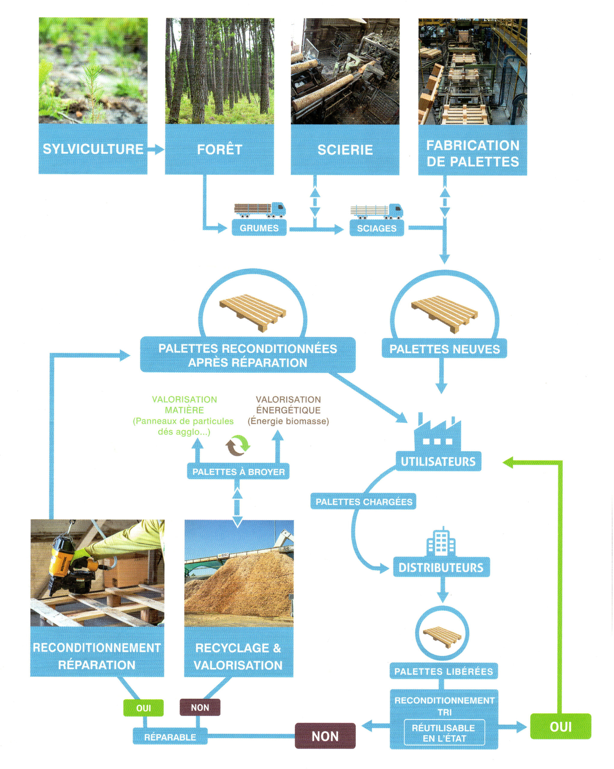 Fabrication de palettes et de caisses palettes | La scierie du Cabalet